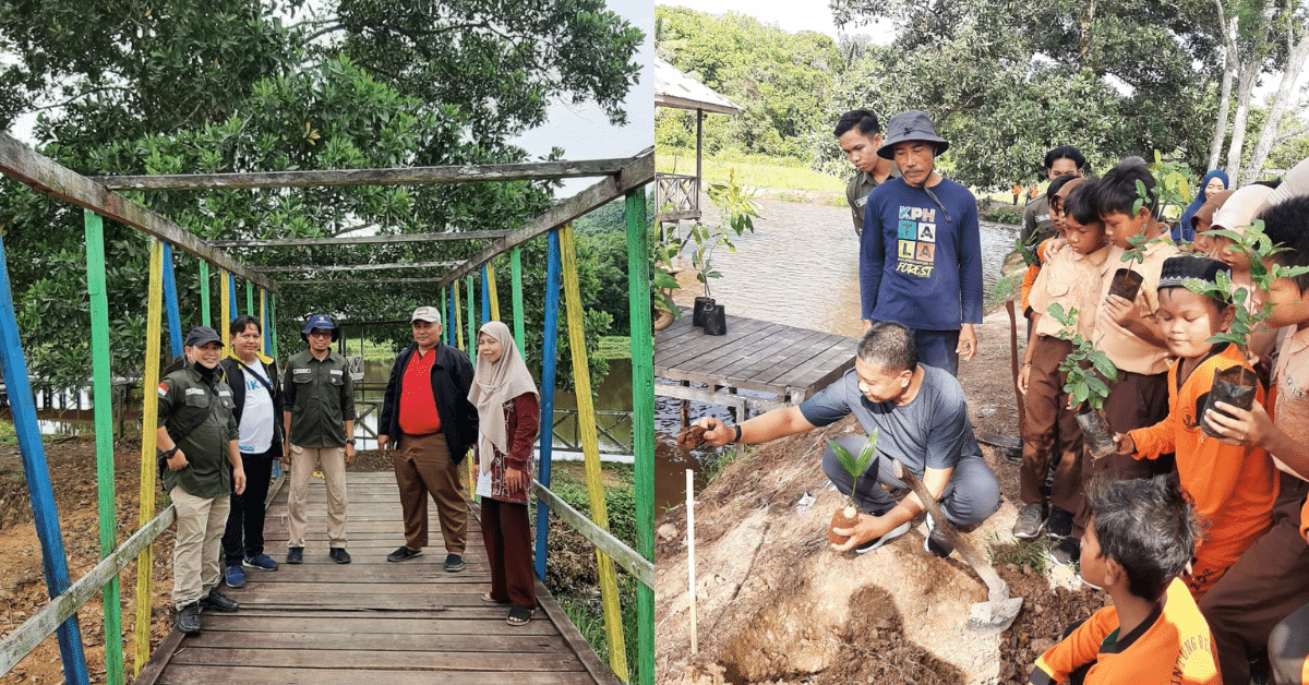 KLHK Kunjungi Lokasi Penanaman Pohon Program CIGPRO di Desa Guntung ...